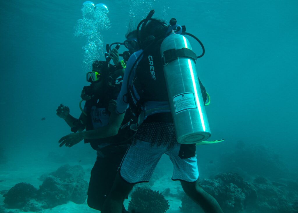 Gallery - Scuba Diving